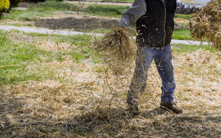 Lawn Services - Muñoz Landscaping
