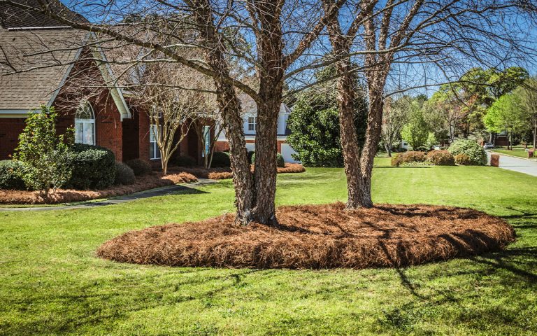 Lawn Services - Muñoz Landscaping